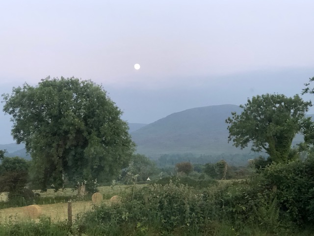 Ireland Tour, Summer of 2023 – Mick Daley – Musician and Author.